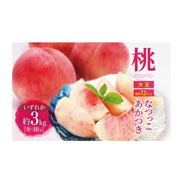 容量約3kg（9〜10玉）消費期限青果物ですのでお早めにお召し上がりください。発送期日2026年8月上旬〜8月中旬にかけて、順次発送いたします。※青果物のため、生育の状況などにより発送が前後する場合がございます。予めご了承ください。※お届け...