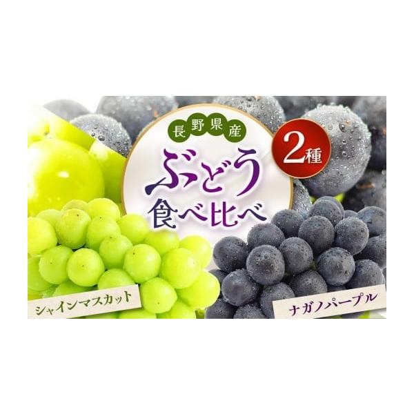 容量シャインマスカット　1房ナガノパープル　1房計2房（約1kg）消費期限青果物ですのでお早めにお召し上がりください。発送期日2026年9月下旬〜10月下旬にかけて順次発送予定※青果物のため、生育の状況などにより発送が前後する場合がございま...