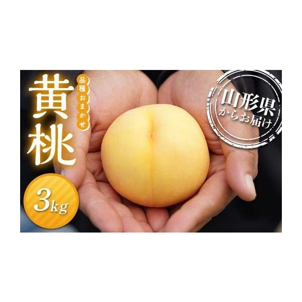 容量黄桃 3kg箱 満杯詰め（8個〜14個入り）消費期限出荷から5日以内発送期日2026年8月中旬頃〜9月下旬頃に順次発送配送冷蔵 時間指定 別送申込期日2026年8月1日まで事業者NJ山形申込条件何度も申し込み可、オンライン決済限定