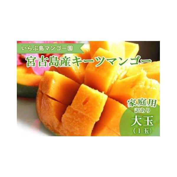 容量キーツマンゴー大玉1玉（900ｇ以上）消費期限キーツマンゴー収穫してから追熟が必要なマンゴーになります。 追熟の方法や食べごろサインに関するレシピを同梱します。発送期日2026年8月上旬頃より発送します。(確実にお手元にお届けするため発...