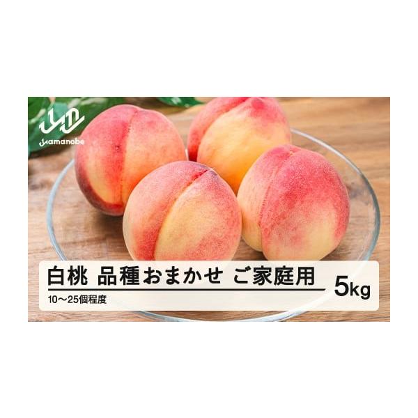 容量内容量：白桃 品種おまかせ ご家庭用 約5kg(10~25個程度)品種：川中島・美晴・ゆうぞら・あぶくま・玉うさぎ・さくら・幸茜・伊達白桃・白根白桃・西王母など※品種の指定はできません。いずれかの品種でお届けいたします。消費期限発送後3...