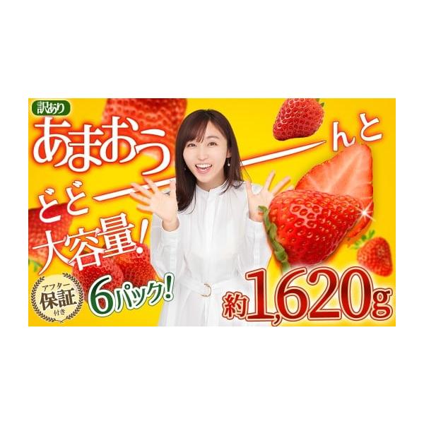 容量１パック 約２７０ｇ前後 ×６パック※約１６２０ｇ前後（1パック約5〜15粒）※大きさのバラつきや形・色の不揃いがございます。ご理解いただける方のみお申込みお願いいたします。●あまおうは実が柔らかい品種のため、梱包には十分気をつけており...