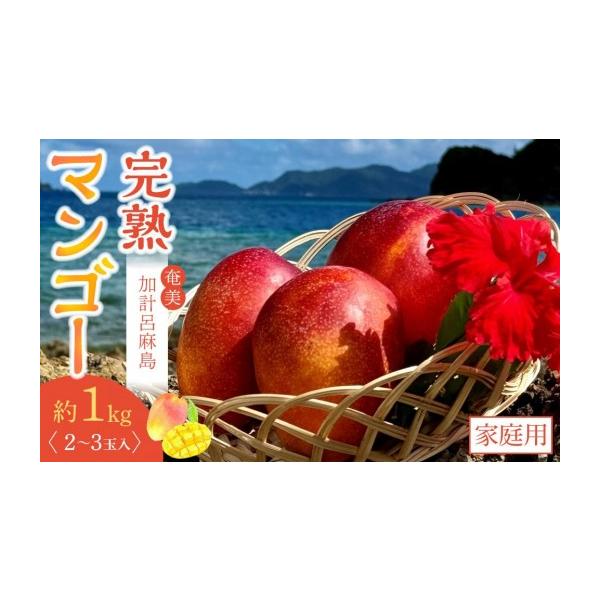 容量約1kg（2〜3玉入り）消費期限出荷日＋5日（冷蔵保存）発送期日2026年7月下旬から8月中旬頃、順次配送予定（青果物の為，その年の収穫時期が多少ずれることがあります。）配送冷蔵 別送申込期日2026年8月19日までの受付（在庫数に限り...