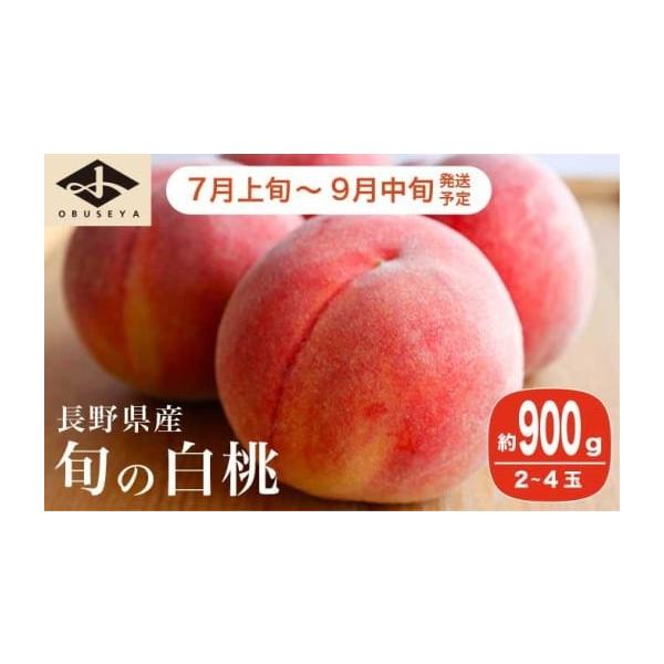容量旬の白桃 約900g（2〜4玉）たまき、なつき、あかつき、川中島白鳳、なつっこ、川中島白桃、だて白桃などの中から旬の品種をお届けします。（品種は選べません）発送期日2026年7月上旬〜9月中旬予定※天候や収穫状況により、お届けや規格が変...