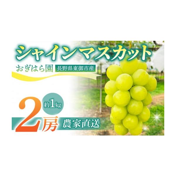 容量シャインマスカット2房（約1kg）消費期限冷蔵保存の上１週間程度。※生物ですのでお早めにお召し上がりください。発送期日2026年9月下旬〜10月上旬順次発送※天候・気候の諸条件により収穫・出荷の時期に変動があることがございます。配送冷蔵...