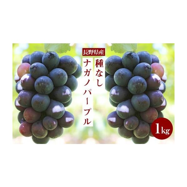 容量■お礼品の内容についてナガノパープル 約1kg原産地:長野県消費期限発送日より5日※到着後すぐにお礼品の状態をご確認のうえ、出来るだけお早めにお召し上がりください。発送期日2026年8月下旬〜10月上旬の間で順次発送予定です。（発送日・...