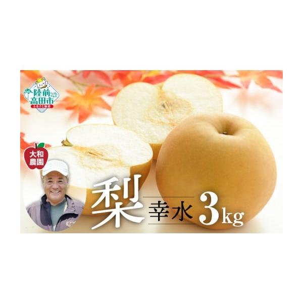 容量梨（幸水） 約3kg消費期限なまものですので、新鮮なうちにお早めにお召し上がりください。発送期日9月頃から受付順に発送いたします。※あくまでも目安でございます。配送常温 別送申込期日2026年9月20日まで事業者大和農園申込条件何度も申...