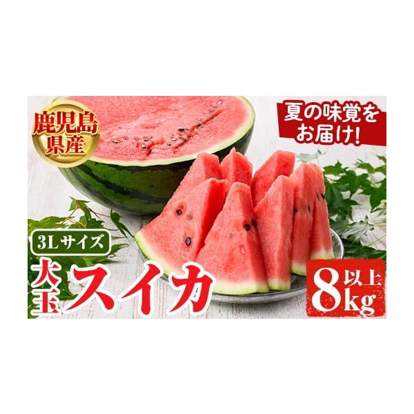容量鹿児島県産 大玉スイカ：1玉(3Lサイズ・8kg以上)消費期限出荷日から7日発送期日2026年6月中旬以降順次発送予定※青果のため、育成状況により発送が前後する場合がございます。配送常温 時間指定 別送申込期日〜2026年8月2日23時...