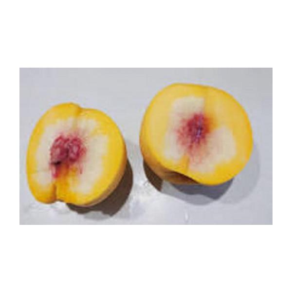 容量山形県産黄桃＜あか月姫＞秀品 約2kg消費期限発送後7日【保存方法】常温発送期日2026年8月6日〜2026年8月18日頃、発送いたします。※天候の影響で収穫量・収穫時期が遅れた場合、発送が遅れる場合があります。配送冷蔵 別送申込期日〜...