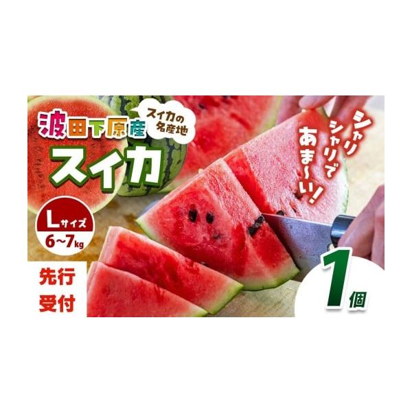 容量1個消費期限発送日より1週間発送期日2026年7月下旬より順次発送配送常温 別送申込期日2026年8月上旬頃まで受付事業者スイカ・リンゴ直売　Heart-Land ノムラ 申込条件何度も申し込み可、オンライン決済限定