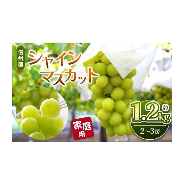 容量約1.2kg(2房〜3房)消費期限発送日から7日間(要冷蔵)お早めにお召し上がりください発送期日2026年9月上旬〜11月中旬にかけて、準備が整い次第順次発送致します。配送冷蔵 別送申込期日〜2026年8月下旬頃までお申し込みを受け付け...