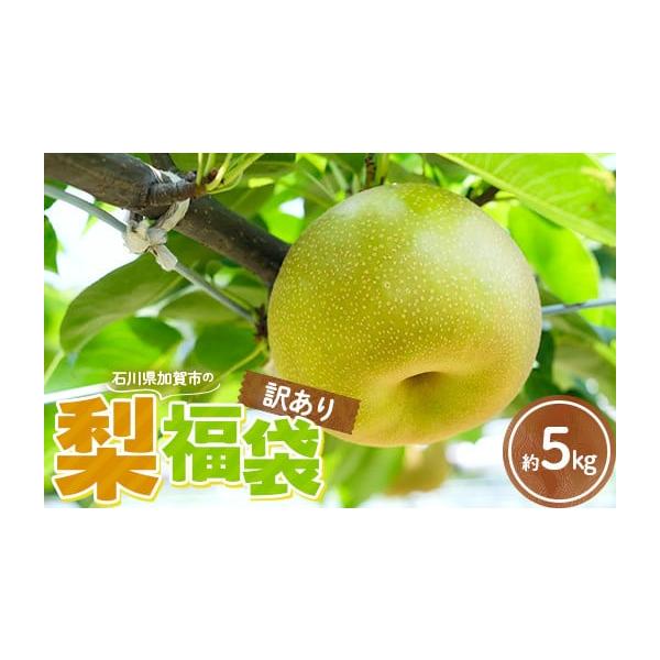 容量約5kg（新水・なつしずく・幸水・豊水・あきづき・新高・新興・愛宕）の中から旬の1種類お届け消費期限生鮮品のためお早めにお召し上がりください発送期日2026年08月13日〜2026年10月31日※離島にはお届けできません。配送常温 時間...