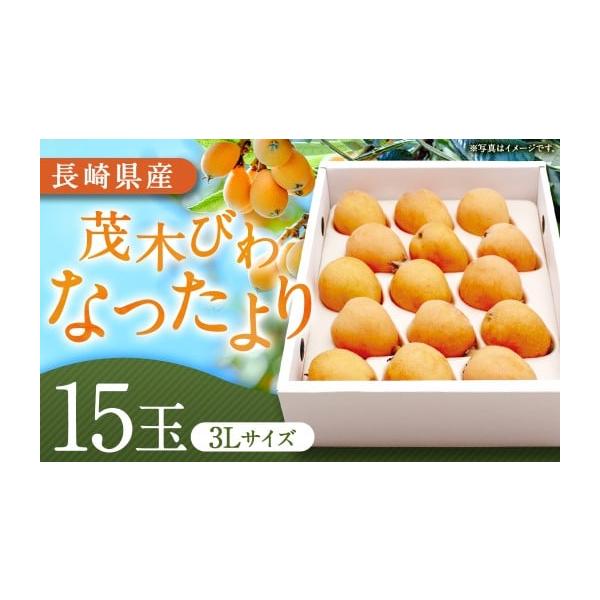 容量枇杷（なつたより） 15玉発送期日2026年5月下旬〜6月上旬発送予定※天候や発送状況により多少前後する場合がございますので、予めご了承ください。配送常温 時間指定 別送申込期日〜2025年12月31日まで寄附受付事業者川口農園申込条件...