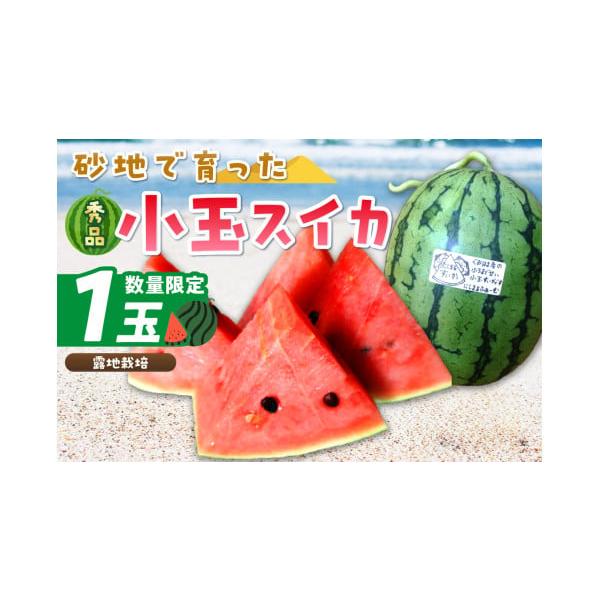 容量1玉（2kg以上）消費期限【賞味期限】食べ頃で収穫しているので、到着後なるべく早くお召し上がりください。（2〜3日程度が目安）【保存方法】到着後、直射日光・高温多湿を避けて保管をお願いいたします。切ってしまって、食べきれなかった場合は、...