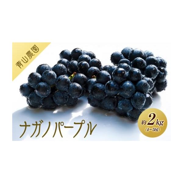 容量ナガノパープル　約2kg（4〜5房）    ※房数はお任せとなります。指定は出来ませんので、予めご了承ください。消費期限到着日より3日【保存方法】冷蔵発送期日2026年8月上旬より順次発送致します。配送冷蔵 時間指定 別送申込期日202...