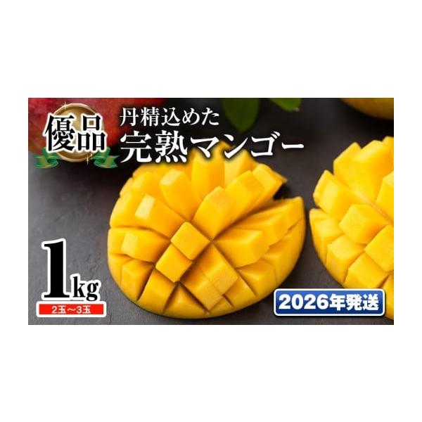 容量1kg（2玉〜3玉）※玉数・大きさは指定できません。消費期限青果物のため冷蔵庫で冷やしてなるべく早めにお召し上がり下さい。発送期日2026年6月中旬〜7月下旬※お申し込み順の発送となりますので予めご了承くださいますようお願い致します。【...