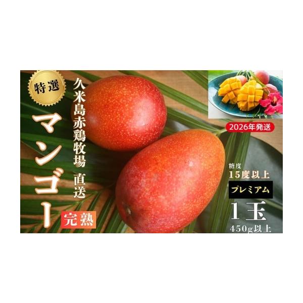 容量プレミアム完熟マンゴー（糖度15度以上）1玉（450g以上）消費期限賞味期限　発送日から商品到着時に完熟になるように収穫しています。 商品到着後は冷蔵庫で冷やし、2〜3日以内、なるべくお早めにお召し上がりください。発送期日2026年7月...