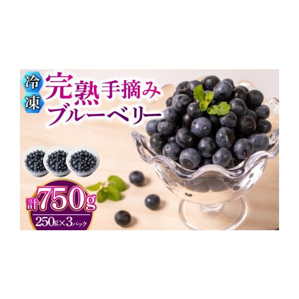 容量冷凍ブルーベリー 750g(250g×3パック)消費期限出荷日から約半年冷蔵保存で約5日発送期日2026年7月以降に順次発送いたします。着日指定は対応いたしかねます。不在日時等ございましたら備考欄にお知らせください。配送冷凍 時間指定 ...