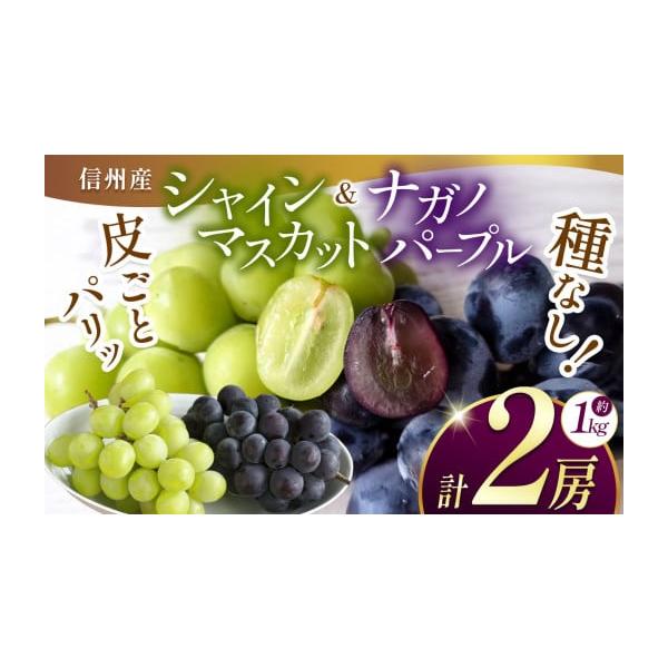 容量約1kg (2房)消費期限発送日より1週間（お早めにお召し上がりください）発送期日9月中旬から10月中旬頃まで発送予定（青果物にのため発送時期が前後いたします。）配送冷蔵 別送申込期日〜2026年9月下旬くらいまで事業者株式会社ベジサコ...