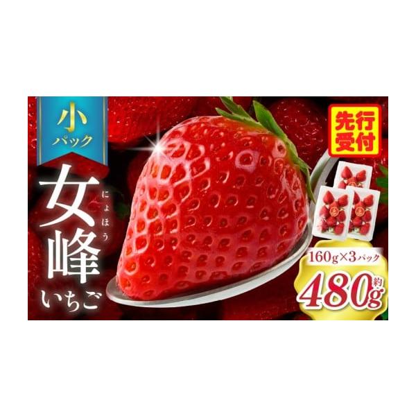 容量女峰いちご　小パック160ｇ×3パック消費期限発送日から 5日以内生鮮品のため、到着後は冷蔵庫にて保管し、なるべくお早めにお召し上がりください。発送期日2025年1月上旬〜配送冷蔵 時間指定 別送申込期日5月中旬まで事業者苺ファーム森本...