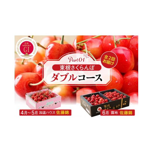 容量≪さくらんぼを2回送付いたします≫1. 加温ハウス栽培さくらんぼ「佐藤錦」500gバラ詰め2. 露地栽培さくらんぼ「佐藤錦」900gバラ詰め消費期限■賞味期限出荷日から3日程度■保存方法要冷蔵※お受取り後は冷蔵保管をしていただき、お早め...
