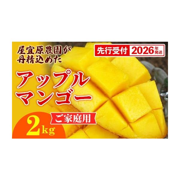 容量完熟アップルマンゴーご家庭用 約2kg（4〜6玉）※玉数指定はできません。※こちらのマンゴーは、黒い斑点やキズ有り・色・形・不揃いの為、見た目は落ちますが、味や甘さは変わりありません。　ご家庭用としてご賞味ください。※白箱でお届けいたし...