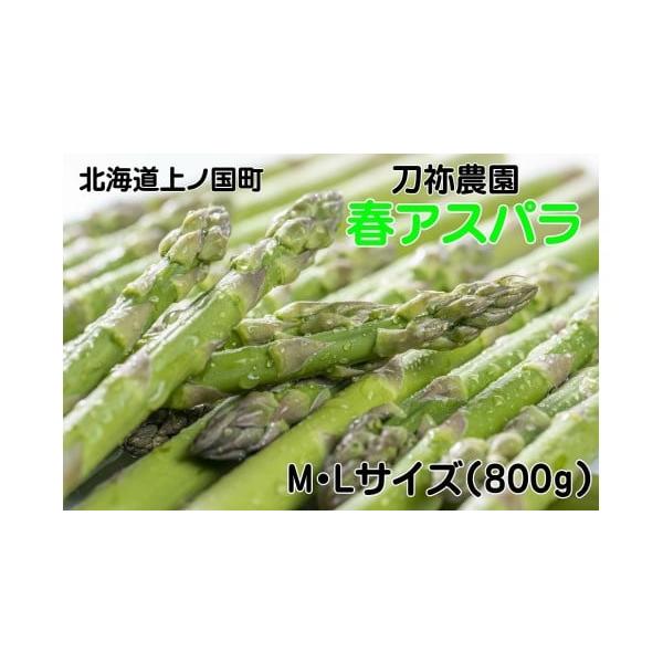 容量Ｍ〜Ｌ（８００g）消費期限発送日を含め７日間発送期日2026年3月下旬〜5月下旬（予定）配送冷蔵 別送申込期日2026年5月10日まで事業者刀祢農園申込条件何度も申し込み可