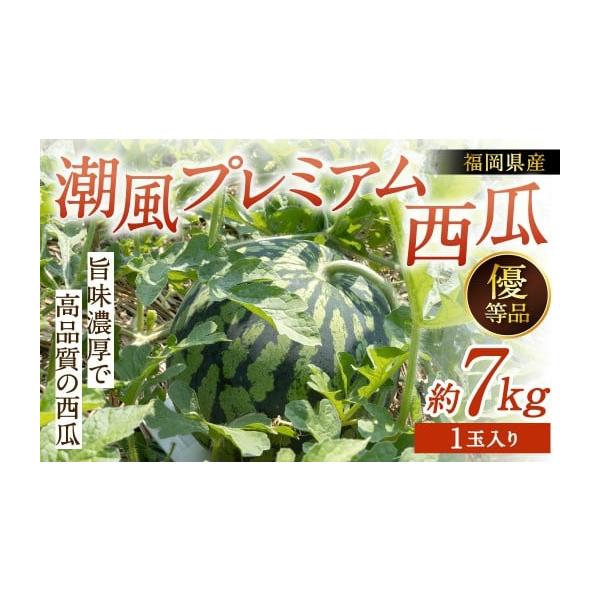 容量約7kg（1玉入り）消費期限賞味期限：発送後5日程度発送期日2026年7月下旬から8月上旬発送予定配送常温 時間指定 別送申込期日2025年8月16日〜2026年7月15日まで寄附受付事業者うまうまもぐもぐ申込条件何度も申し込み可、オン...