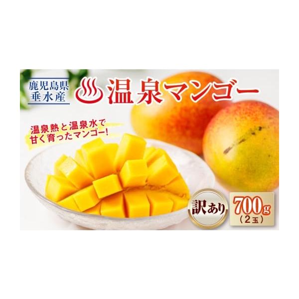 容量■垂水産 温泉マンゴー（訳あり） 700g（2玉）-----------------------------------------※収穫状況によって玉数やサイズに多少変更がある場合がございます。ご了承ください。※玉数の指定はできません...