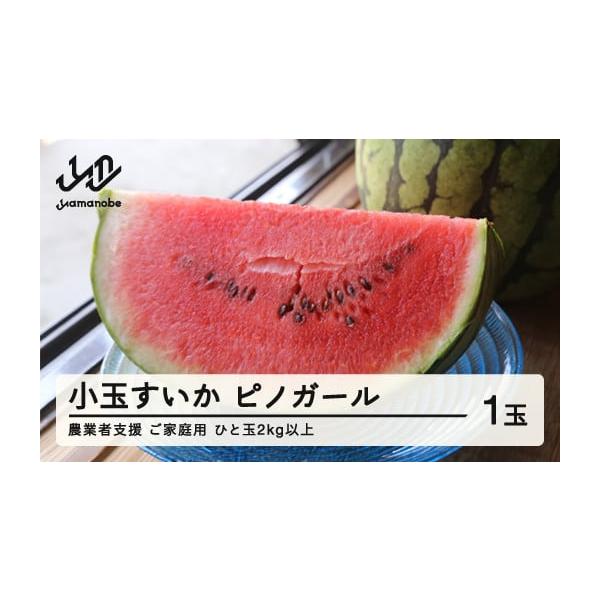 容量ピノガール 1玉(1玉2kg以上)消費期限発送日から7日以内発送期日2026年7月上旬頃〜8月下旬頃に順次発送※発送時期は、例年の発送時期を記載しております。天候や収穫状況により変更になる場合があります。配送冷蔵 時間指定 別送申込期日...