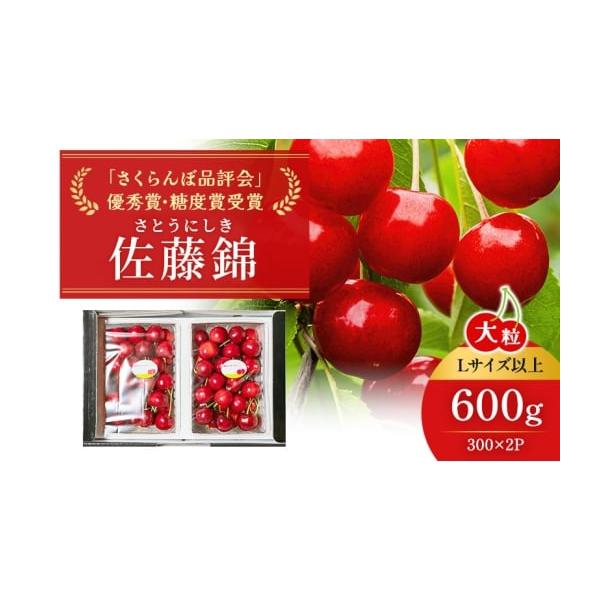 容量さくらんぼ【佐藤錦】300g×2パックサイズ：L以上　産地：北海道仁木町※賞味期間：発送から3日程度※ふるさと納税返礼品地場産品基準(平成31年総務省告示第179号第5条)のうち該当する類型について北海道仁木町内において生産されたもので...