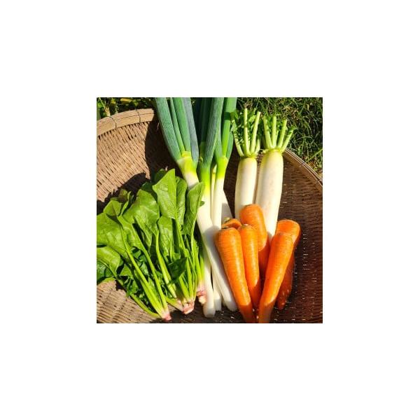 容量朝どれ冬野菜 5種類消費期限■賞味期限冷蔵で3日発送期日2025年12月上旬〜2026年2月下旬にかけて順次発送予定配送冷蔵 別送申込期日2026年1月下旬まで寄附申込受付事業者アグリ福ちゃん申込条件何度も申し込み可