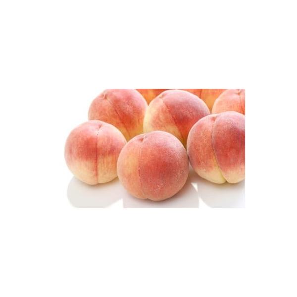 容量2kg(秀5〜7玉)消費期限1週間程度発送期日2026年9月上旬〜9月中旬※生育状況により前後する場合がございます。【配達】ヤマト運輸気温状況に応じて冷蔵または常温発送となります配送常温 冷蔵 のし 時間指定 別送申込期日2026年8月...