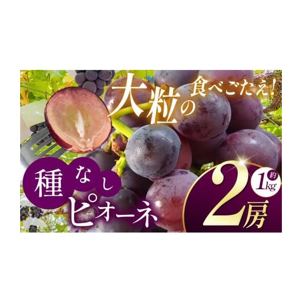 容量種なしピオーネ 2房消費期限青果物ですのでお早めにお召し上がりください。発送期日2026年9月下旬〜１１月上旬にかけて、順次発送いたします。※青果物のため、生育の状況などにより発送が前後する場合がございます。予めご了承ください。※お届け...