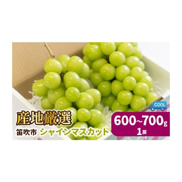 容量産地厳選シャインマスカット 600g~700g 1房発送期日2026年8月中旬〜10月上旬予定※天候により発送時期が前後しますのでご了承願います。配送冷蔵 別送申込期日2026年9月20日まで事業者株式会社　斎庵申込条件何度も申し込み可