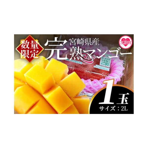 容量・2L×1玉入消費期限冷蔵※果物で賞味期限が短いため商品到着後は冷蔵庫で冷やし、お早めに召し上がりください。発送期日2026年5月より順次発送予定配送冷蔵 時間指定 別送申込期日2026年6月30日まで事業者みまたんよかもん協同組合申込...