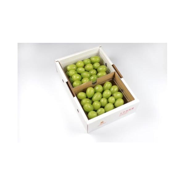 容量シャインマスカット1kg※ノウフク(農業＆福祉)連携のシャインマスカットです。消費期限1週間程度発送期日2026年9月10日〜10月末配送冷蔵 のし 別送申込期日2026年10月10日まで事業者株式会社 やまがたさくらんぼファーム申込条...