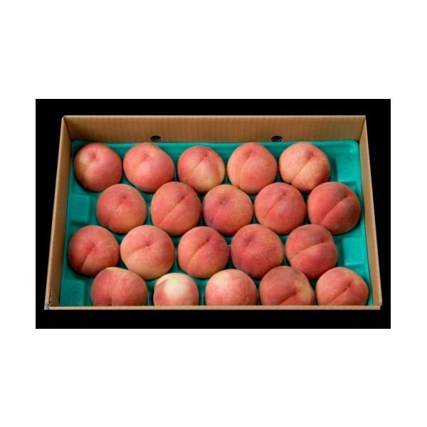 容量4.5kg(16〜22玉)品種指定なし：あかつき・まどか・川中島・ゆうぞら・玉うさぎ・さくら・西王母・幸茜・伊達など果肉が柔らかくなる白桃です。※ももは到着時に食べ頃とは限りません。柔らかいももがお好みの方は常温で保存しお好みの硬さでお...