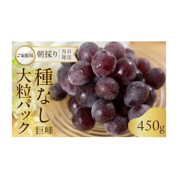 容量種無し巨峰　450g※房から摘果した状態でお届けします消費期限新鮮食品のためお早めにお召し上がりください。発送期日8月上旬から9月下旬にかけて発送配送冷蔵 別送申込期日通年受け付けております。事業者いしだぶどう園申込条件何度も申し込み可