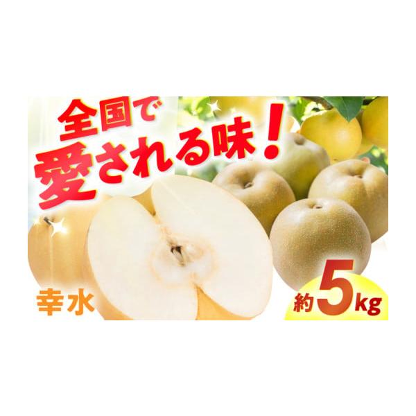 容量梨（幸水）5kg(９玉〜12玉)×1ケース【原料原産地】福岡県消費期限【賞味期限】賞味期限：8日（要冷蔵）発送期日2026年7月下旬より順次発送開始配送冷蔵 時間指定 別送申込期日通年事業者JAふくおか八女農産物直売所どろや申込条件何度...