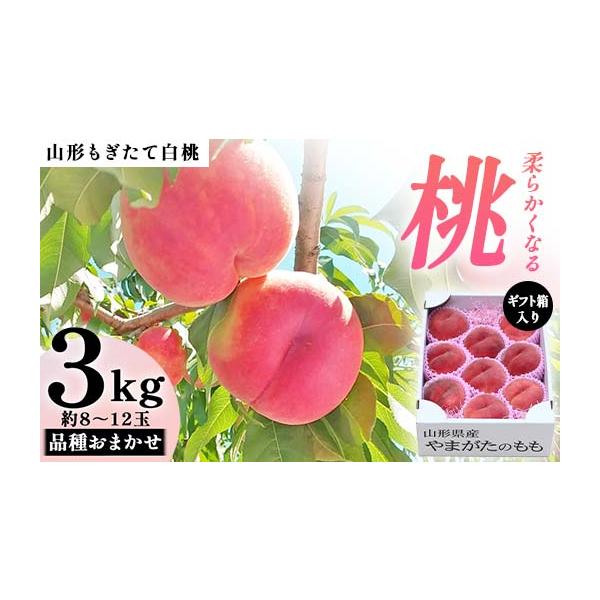 容量山形県産もぎたて白桃『柔らかくなる桃』品種おまかせ約3kg ギフト箱入り（8〜12玉前後）消費期限製造・加工後7日以内発送期日2026年7月下旬〜9月下旬頃配送常温 時間指定 別送申込期日2026年8月31日まで事業者やまがた直送市場申...