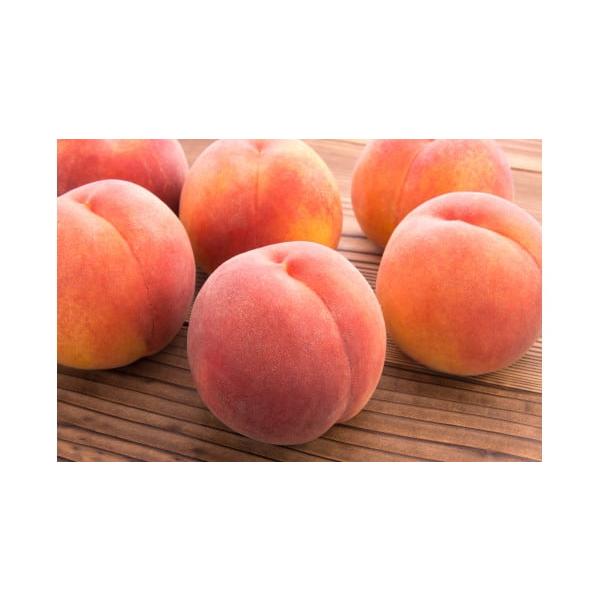 容量2kg(秀5〜7玉)消費期限1週間程度発送期日2026年8月中旬〜8月下旬【配達】ヤマト運輸気温状況に応じて冷蔵または常温発送となります配送常温 冷蔵 のし 時間指定 別送申込期日2026年8月20日まで事業者企業組合 スイーツキッチン...