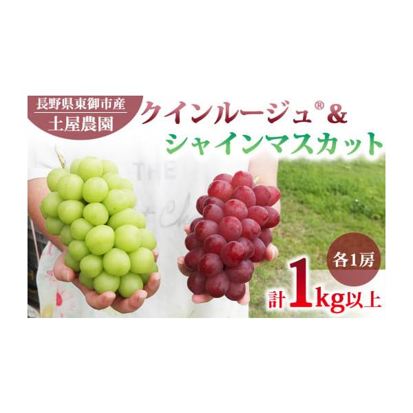 容量クイーンルージュ(R)　1房シャインマスカット　1房合計1kg以上消費期限冷蔵で保存のうえ、お早めにお召し上がりください発送期日9月下旬〜10月中旬※天候・気候の諸条件により収穫・出荷の時期に変動があることがございます。配送冷蔵 時間指...