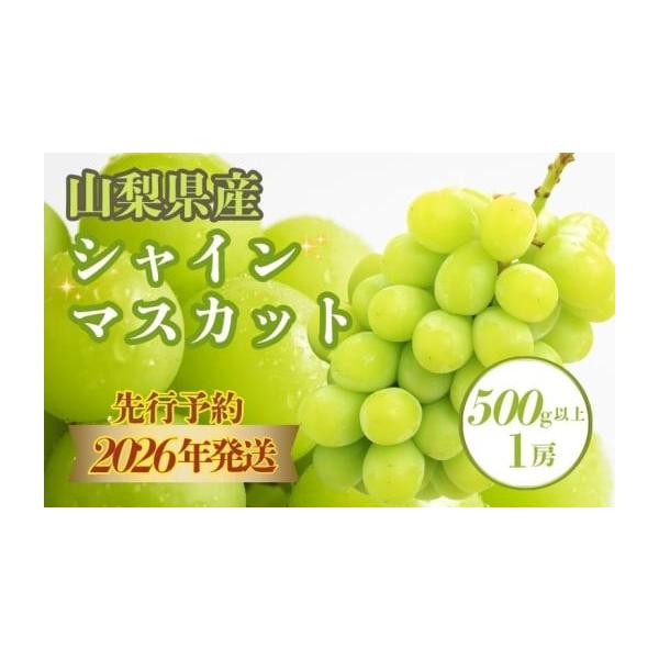 容量シャインマスカット500g以上（1房）消費期限到着後はなるべくお早めにお召し上がり下さい発送期日2026年8月下旬より準備出来次第発送いたします。【ご注意】お日にち指定は承っておりません。長期ご不在やお引越し等により謝礼品のお受け取りが...