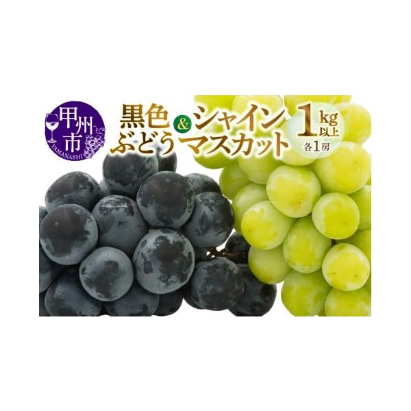 容量葡萄2房入り2色セット 1kg以上・シャインマスカット・黒系葡萄（巨峰・ピオーネ・ブラックビート・甲斐キング・甲斐の黒丸・藤稔など）消費期限到着次第、お早めにお召し上がりください。発送期日2026年8月下旬〜9月下旬頃、順次発送予定※天...