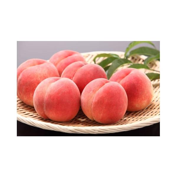 容量3kg(秀8〜12玉)※品種のご指定を承る事はできません消費期限1週間程度発送期日2026年7月下旬〜8月下旬【配達】ヤマト運輸気温状況に応じて冷蔵または常温発送となります配送常温 冷蔵 のし 時間指定 別送申込期日2026年8月20日...