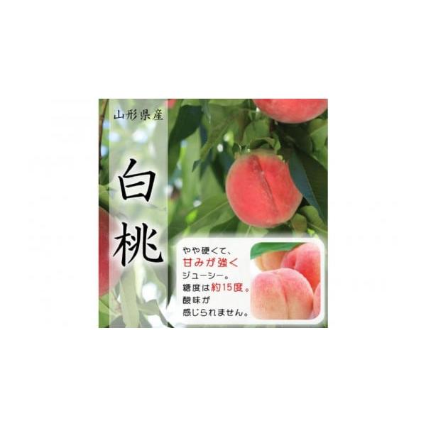 容量山形県産白桃 約2kg※品種おまかせ消費期限発送から約7日発送期日2026年7月下旬から2026年9月中旬配送冷蔵 別送申込期日〜2026年08月30日事業者株式会社山美ファーム申込条件何度も申し込み可、オンライン決済限定