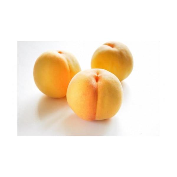 容量山形県産黄桃 約2kg※品種おまかせ消費期限発送から約7日発送期日2026年8月初旬から2026年9月中旬配送冷蔵 別送申込期日〜2026年08月30日事業者株式会社山美ファーム申込条件何度も申し込み可、オンライン決済限定