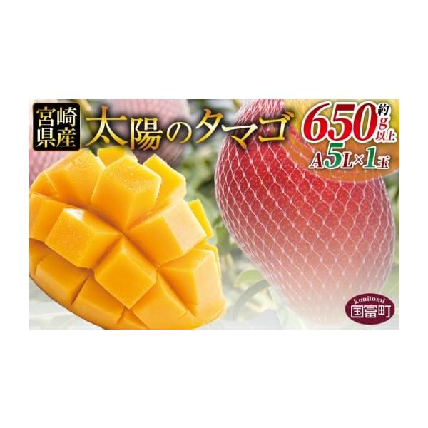 容量5Lサイズ×1玉（約650g以上）消費期限お客様のお手元に届く時にすでに食べ頃の状態ですので、できるだけ早めにお召し上がりください。発送期日2026年4月上旬〜6月末迄に順次出荷配送冷蔵 時間指定 別送事業者JAみやざき宮崎中央地区本部...