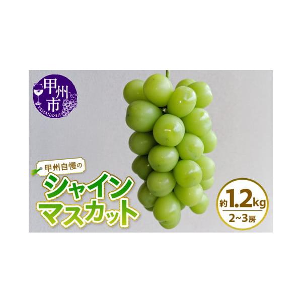 容量シャインマスカット 約1.2kg（2〜3房）消費期限到着次第、お早めにお召し上がりください。発送期日2026年8月下旬〜10月中旬頃、順次発送予定※天候や収穫状況により出荷に変動がございます。(※沖縄・離島へのお届けはできかねております...